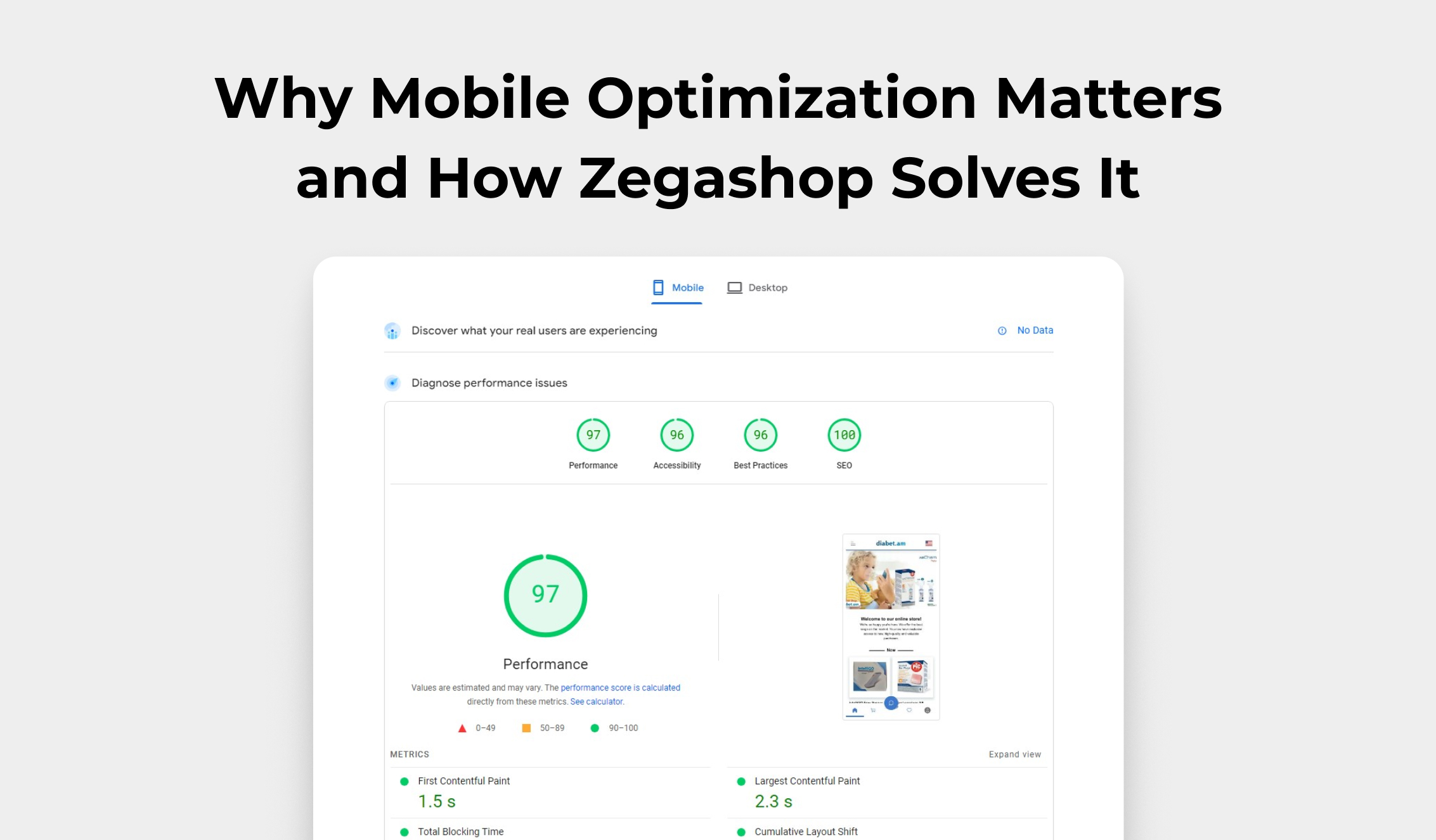 Mobile Optimization for eCommerce with Zegashop